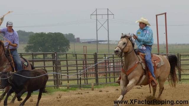 Handling Cattle with David Key | X Factor Roping