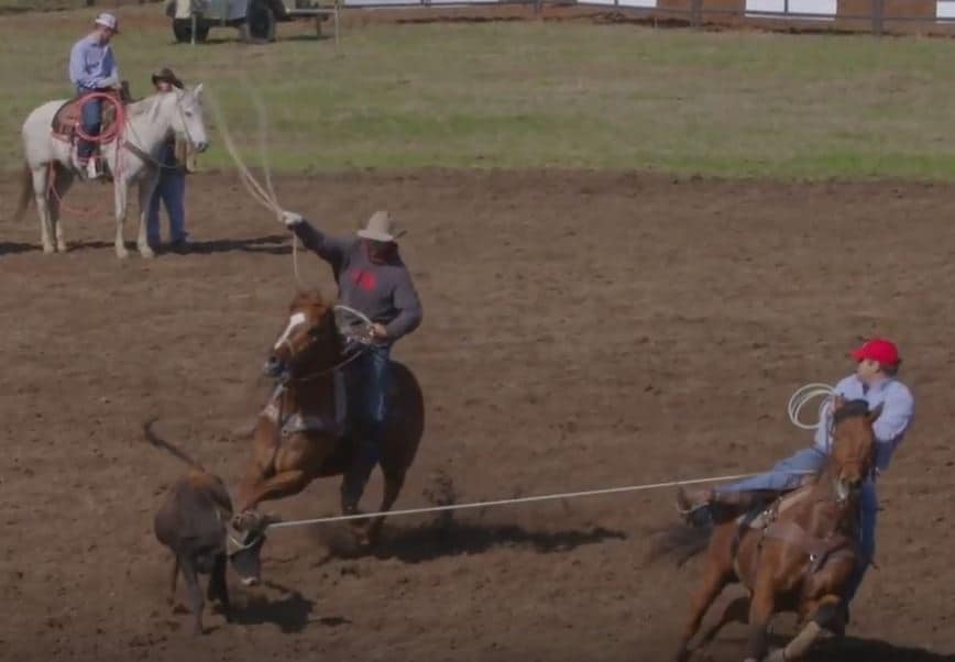 Watch Mike White Pasture Roping Dakota Kirchenschlager | X Factor Roping