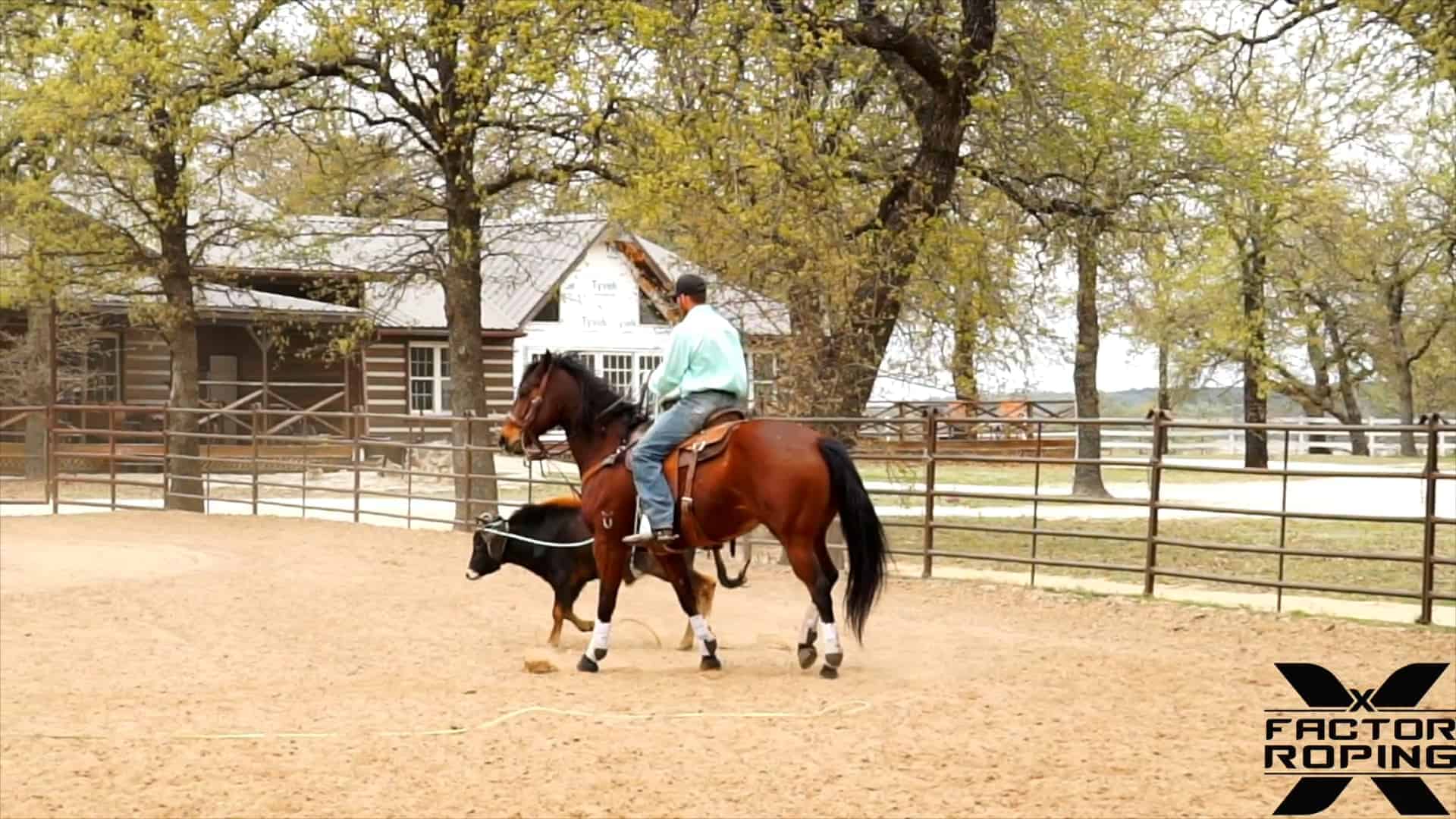 #78 Jake Long "Practice Pen Rundown" | X Factor Roping