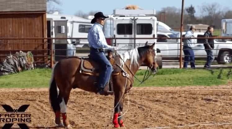 Training A Green Heel Horse with Joseph Harrison | X Factor Roping