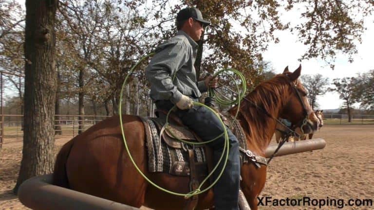 Choosing the Right Team Roping Ropes | X Factor Roping